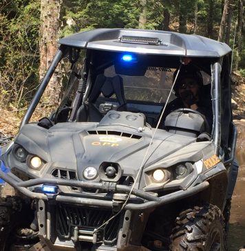 Muskoka News – Breaking News & Community Updates - Muskoka411