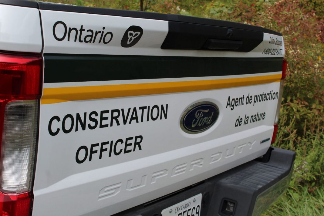 Americans Fined For Illegal Fishing In Ontario - Muskoka411