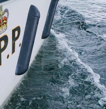 Muskoka News – Breaking News & Community Updates - Muskoka411