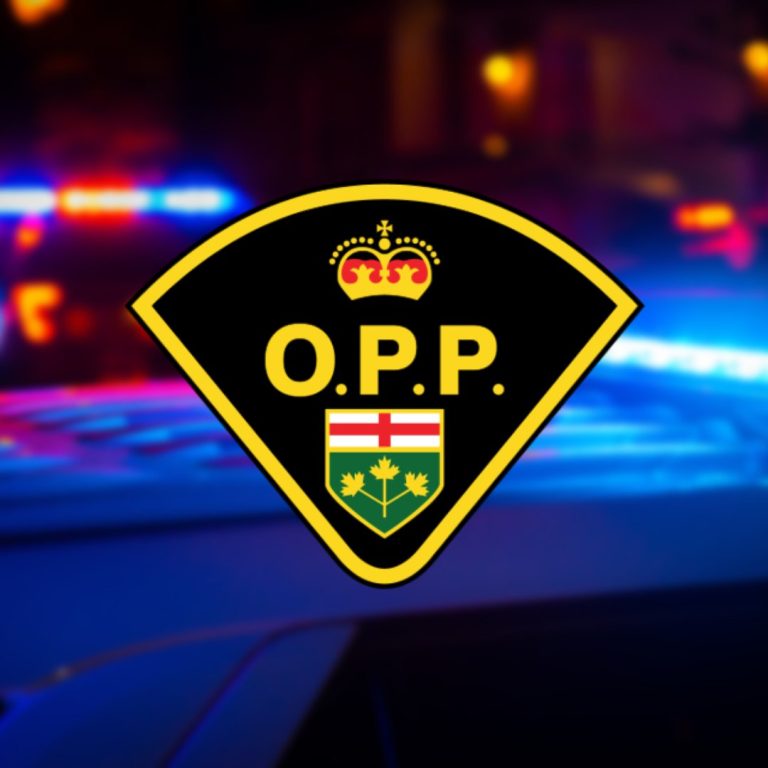 OPP Seeking Assistance In Pedestrian Fail Remain Crash In ...
